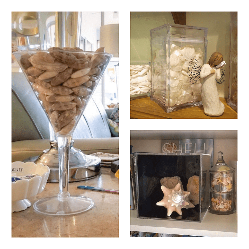 101 Ways to Display Shells Featured in Virtual Shell Show - Sanibel ...