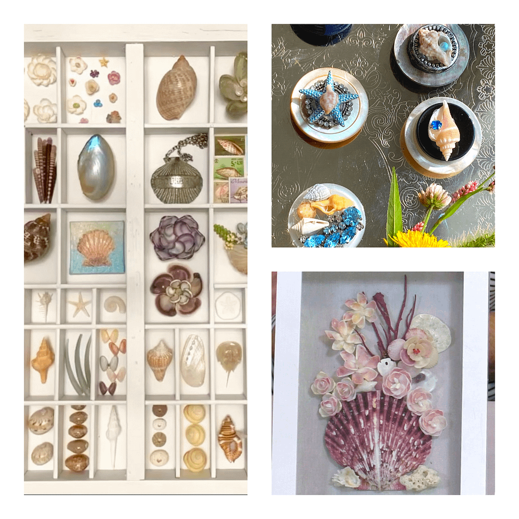 101 Ways to Display Shells Featured in Virtual Shell Show - Sanibel ...