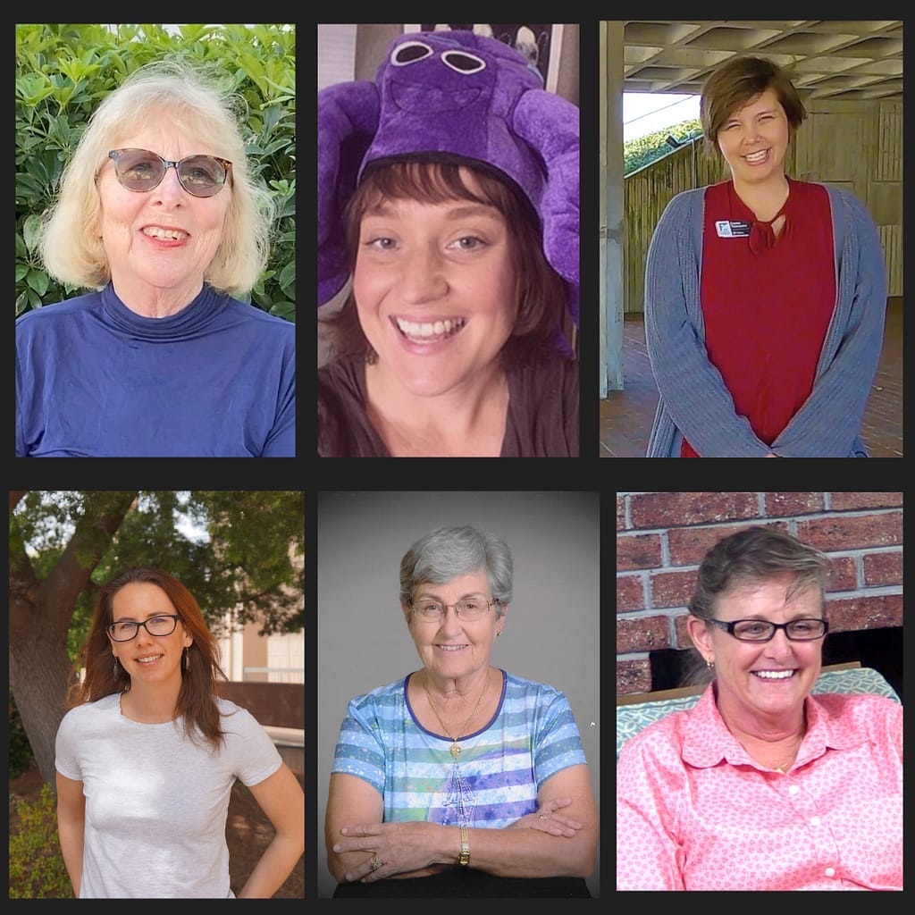 Virtual Sanibel Shell Show-What You Need to Know - Sanibel-Captiva ...