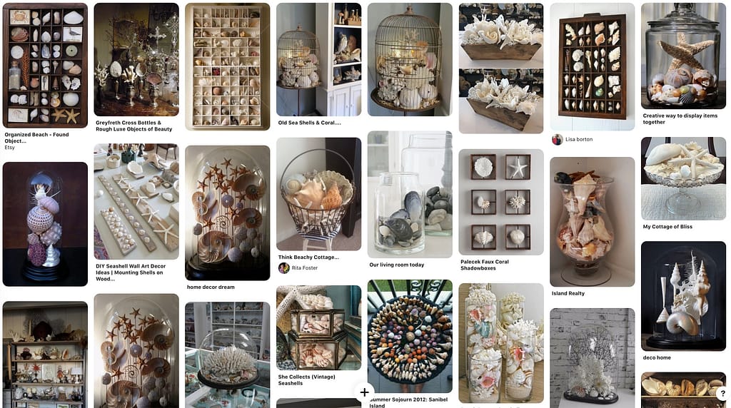 Shell Club's Pinterest Page - Sanibel-Captiva Shell Club
