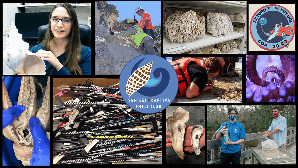 Please DONATE - Sanibel-Captiva Shell Club