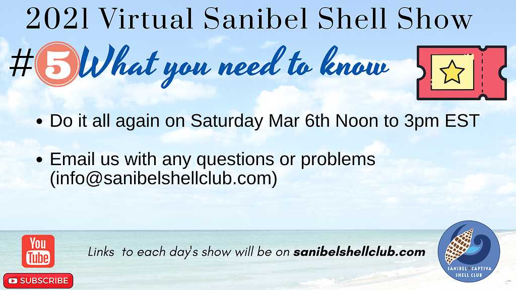 Virtual Sanibel Shell Show-What You Need to Know - Sanibel-Captiva ...