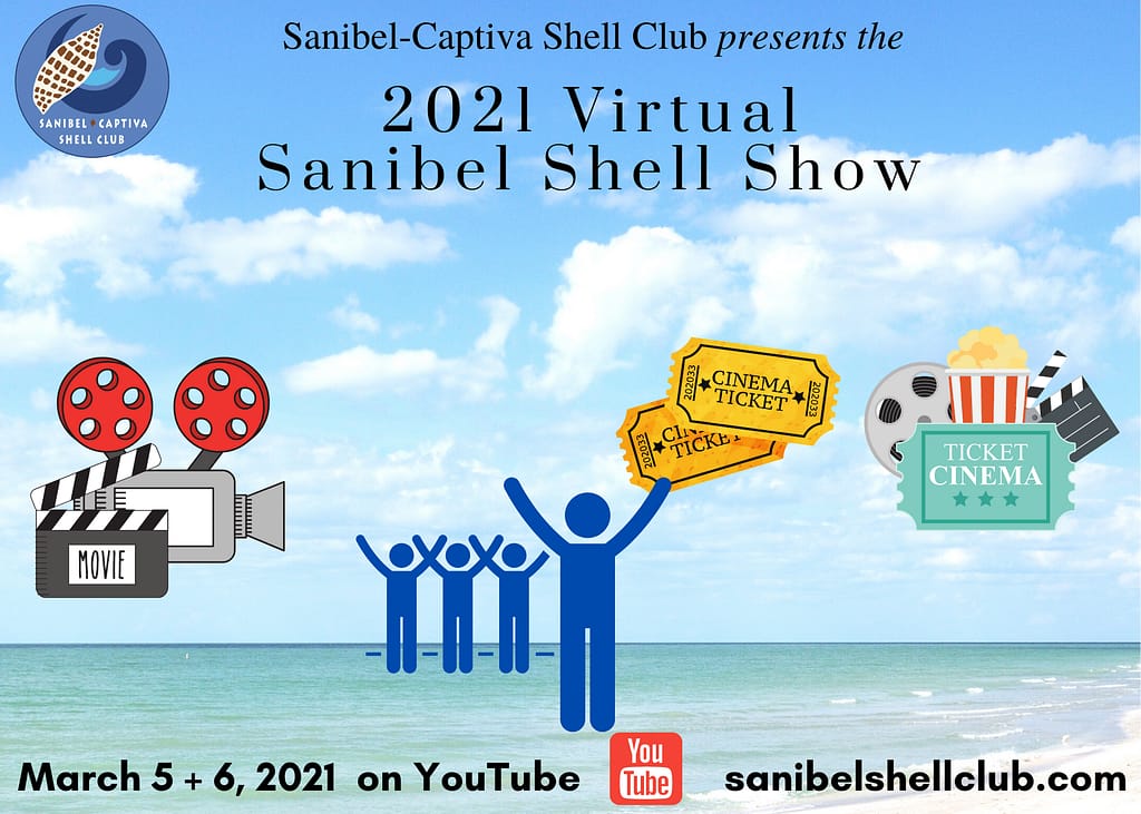 Virtual Sanibel Shell Show-What You Need to Know - Sanibel-Captiva ...