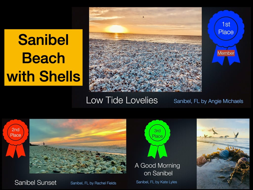 People's Choice for BEST PHOTOS - Sanibel-Captiva Shell Club