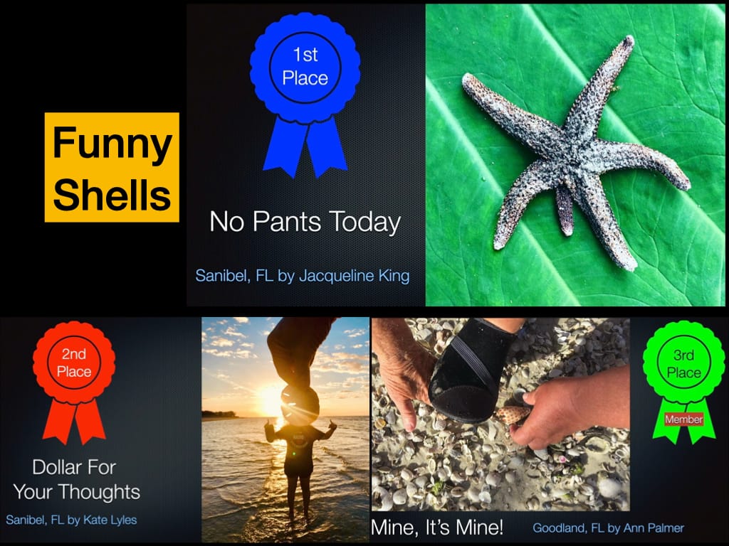 People's Choice for BEST PHOTOS - Sanibel-Captiva Shell Club
