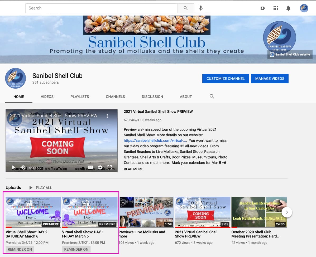 SHOW TIME for 2021 Virtual Sanibel Shell Show – Sanibel-Captiva Shell Club