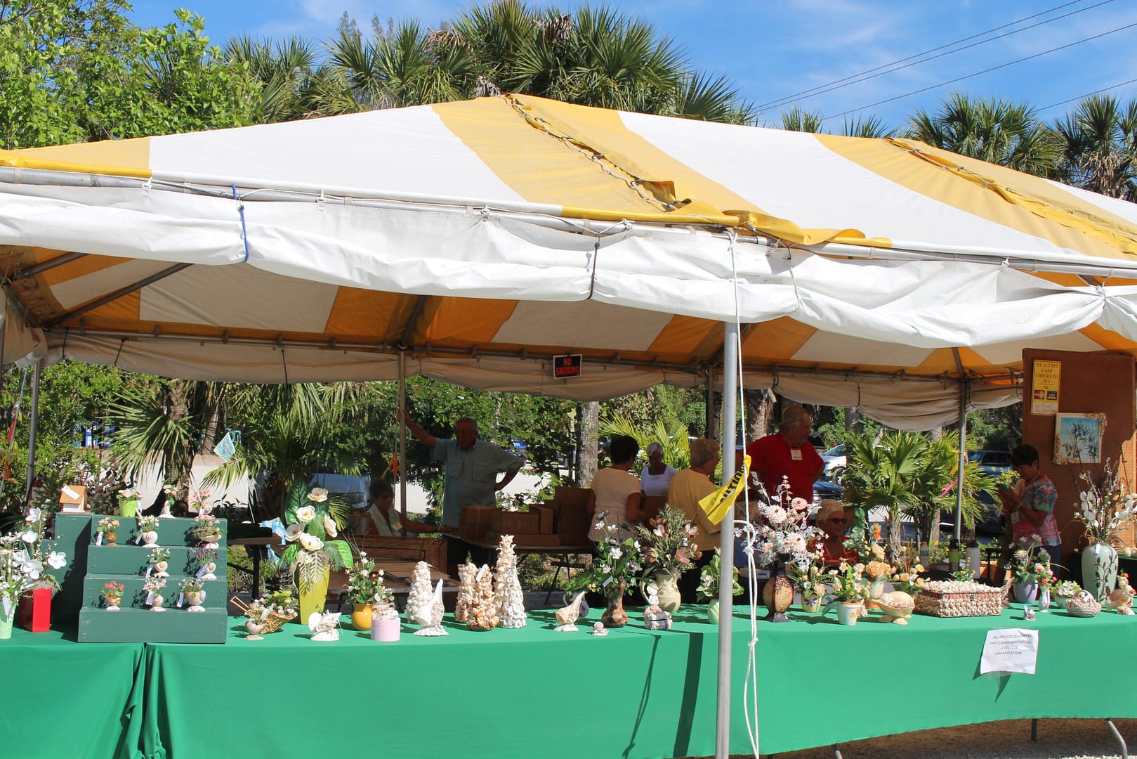 Ready for the 2020 Sanibel Shell Show? - Sanibel-Captiva Shell Club