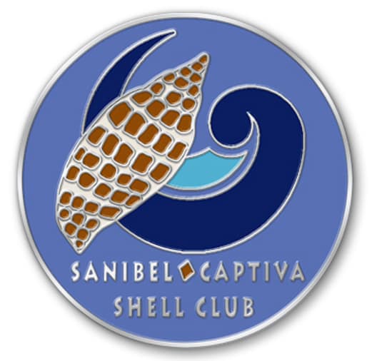 Virtual Sanibel Shell Show–What You Need to Know – Sanibel-Captiva ...