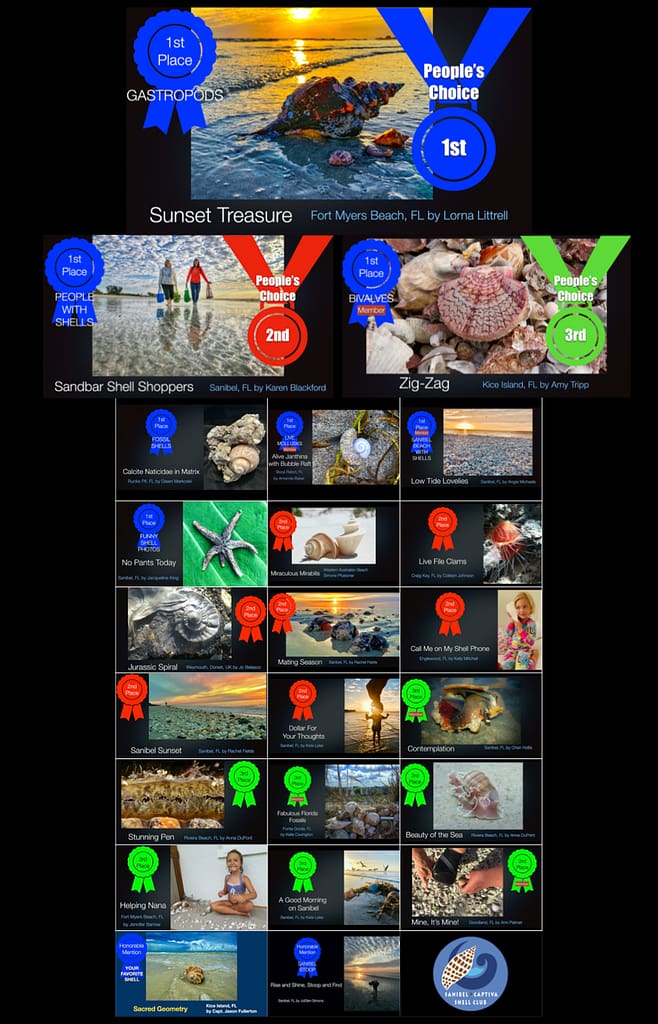 SHELL PHOTO CONTEST - Sanibel-Captiva Shell Club