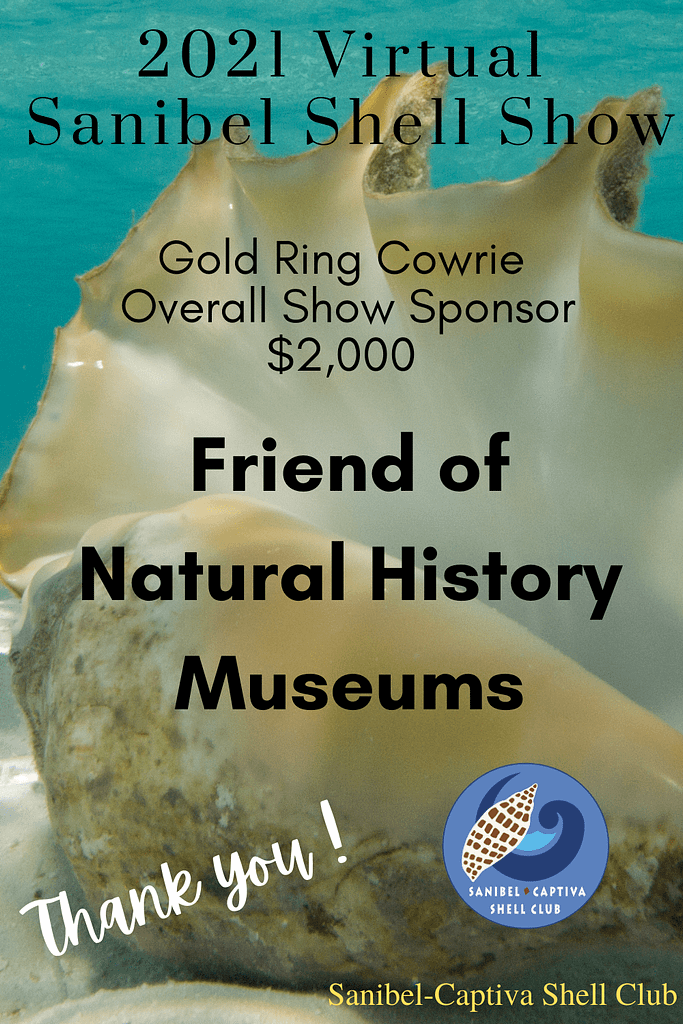 THANK YOU Virtual 2021 Sanibel Shell Show Sponsors - Sanibel-Captiva ...