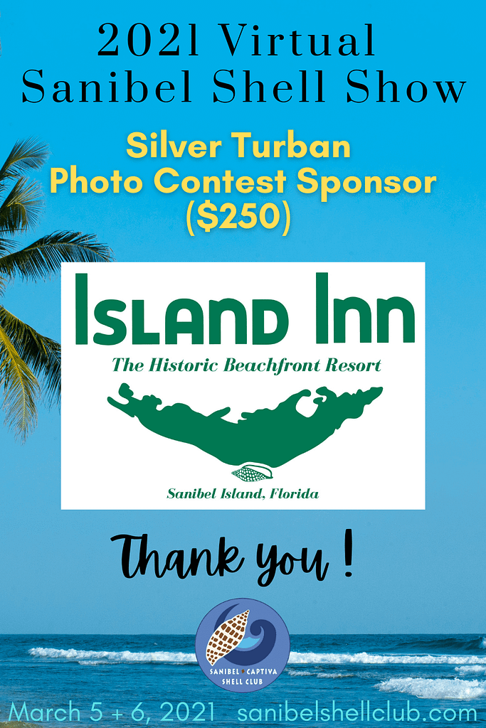 THANK YOU Virtual 2021 Sanibel Shell Show Sponsors - Sanibel-Captiva ...