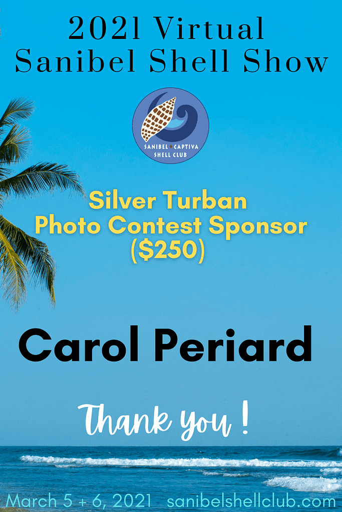 THANK YOU Virtual 2021 Sanibel Shell Show Sponsors - Sanibel-Captiva ...