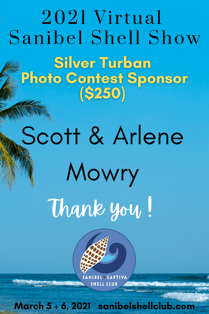 THANK YOU Virtual 2021 Sanibel Shell Show Sponsors - Sanibel-Captiva ...