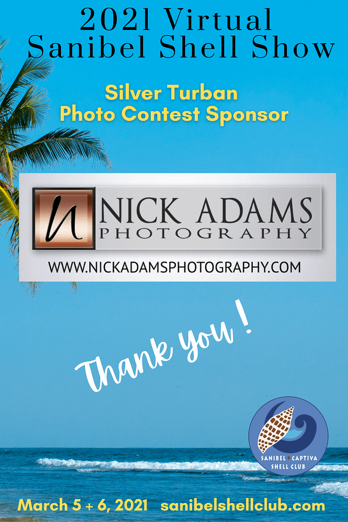 THANK YOU Virtual 2021 Sanibel Shell Show Sponsors - Sanibel-Captiva ...
