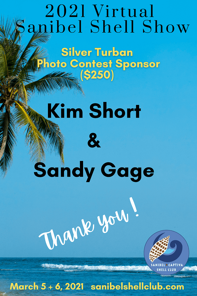 THANK YOU Virtual 2021 Sanibel Shell Show Sponsors - Sanibel-Captiva ...
