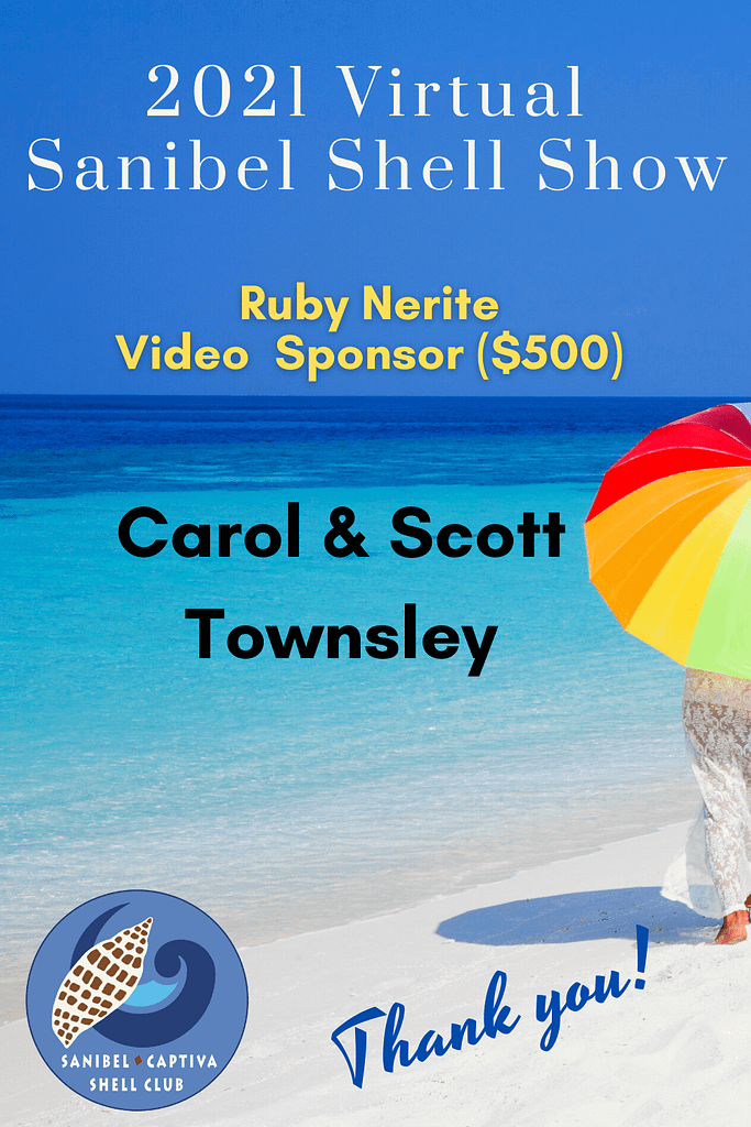 THANK YOU Virtual 2021 Sanibel Shell Show Sponsors - Sanibel-Captiva ...