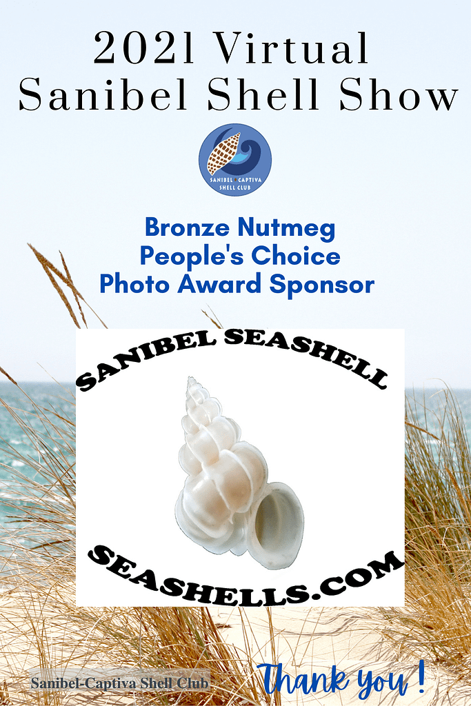 THANK YOU Virtual 2021 Sanibel Shell Show Sponsors - Sanibel-Captiva ...