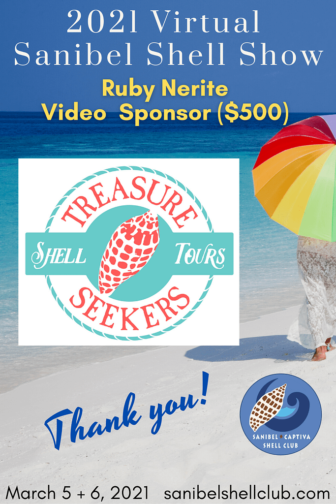THANK YOU Virtual 2021 Sanibel Shell Show Sponsors - Sanibel-Captiva ...
