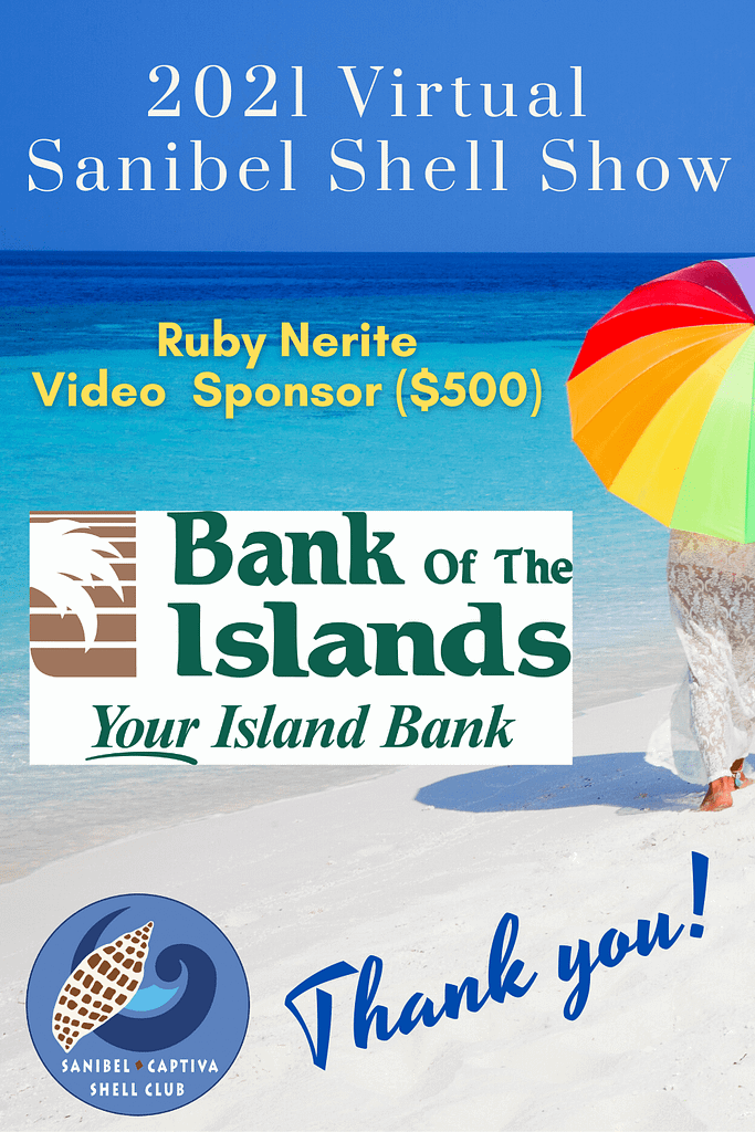 THANK YOU Virtual 2021 Sanibel Shell Show Sponsors - Sanibel-Captiva ...