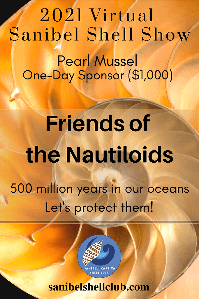 THANK YOU Virtual 2021 Sanibel Shell Show Sponsors - Sanibel-Captiva ...
