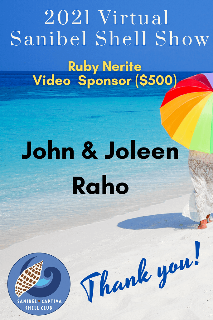 THANK YOU Virtual 2021 Sanibel Shell Show Sponsors - Sanibel-Captiva ...