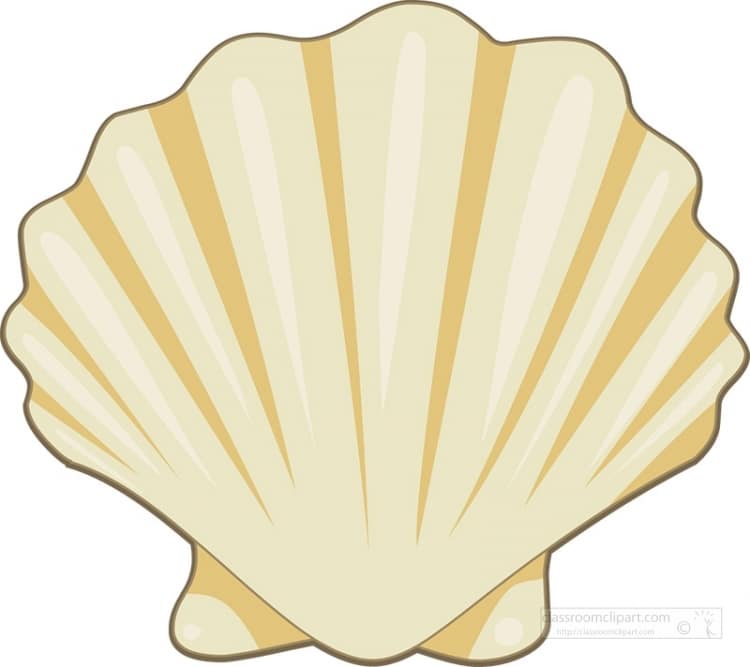 Meetings - Sanibel-Captiva Shell Club