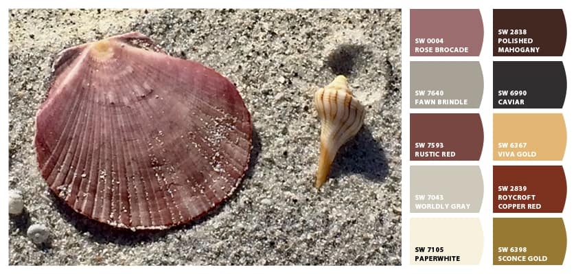 Inspiring Colors - Sanibel-Captiva Shell Club