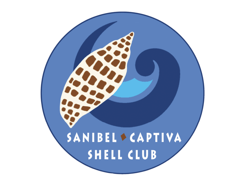 Update on 2024 Sanibel Shell Show! – Sanibel-Captiva Shell Club