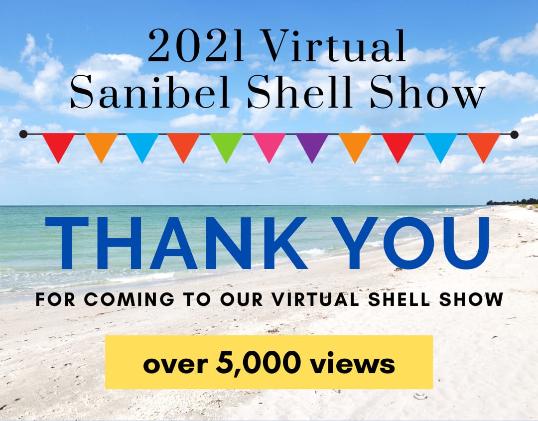 THANK YOU for coming to our Virtual Shell Show – Sanibel-Captiva Shell Club