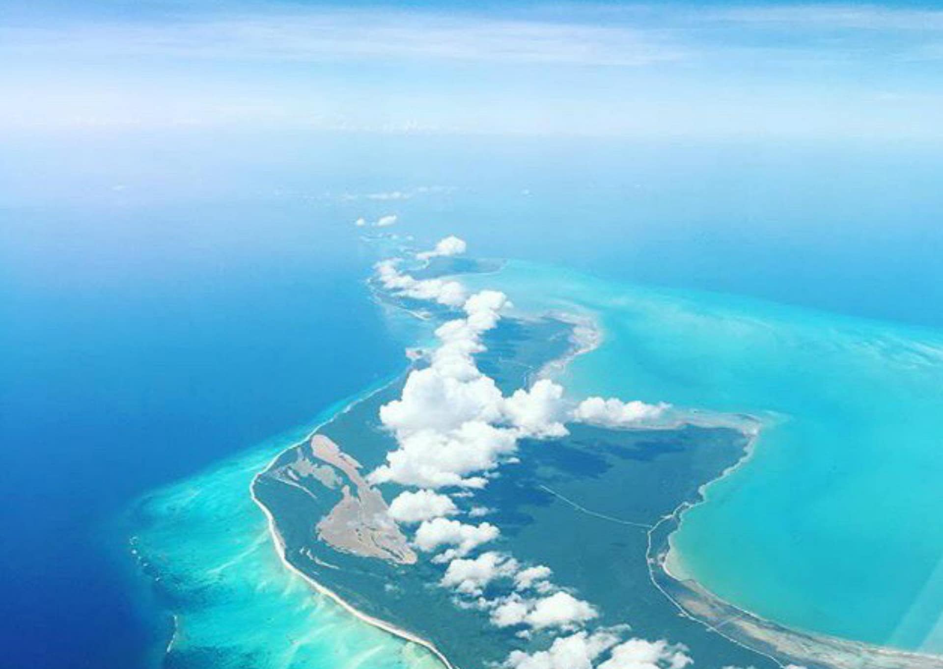 Feb 9, 2020 Shell Club Meeting: Tales of Turks and Caicos - Sanibel ...