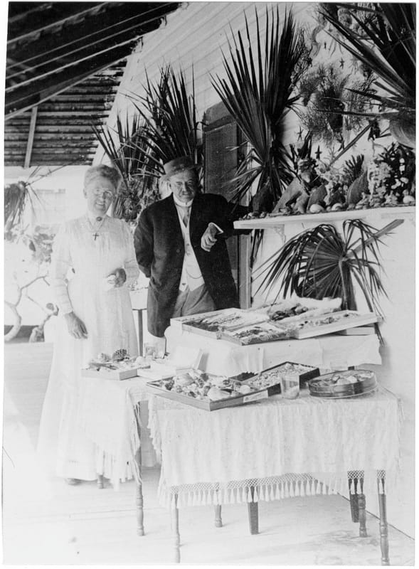 Sanibel Shell Show History - Sanibel-Captiva Shell Club