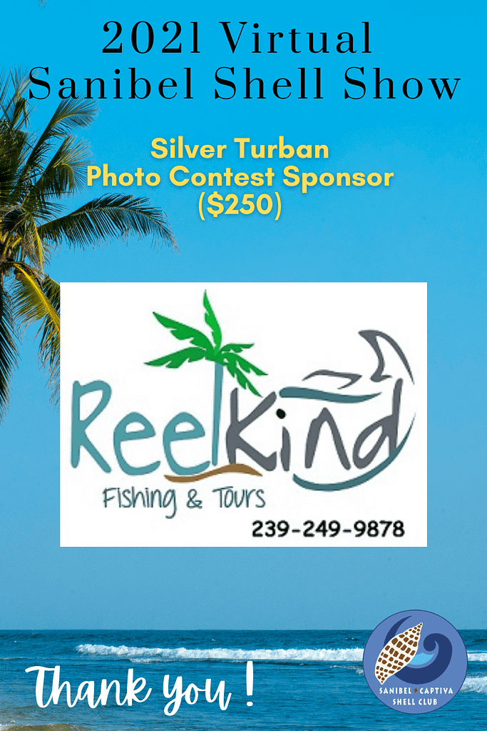 THANK YOU Virtual 2021 Sanibel Shell Show Sponsors - Sanibel-Captiva ...