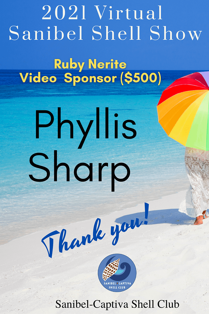 THANK YOU Virtual 2021 Sanibel Shell Show Sponsors - Sanibel-Captiva ...