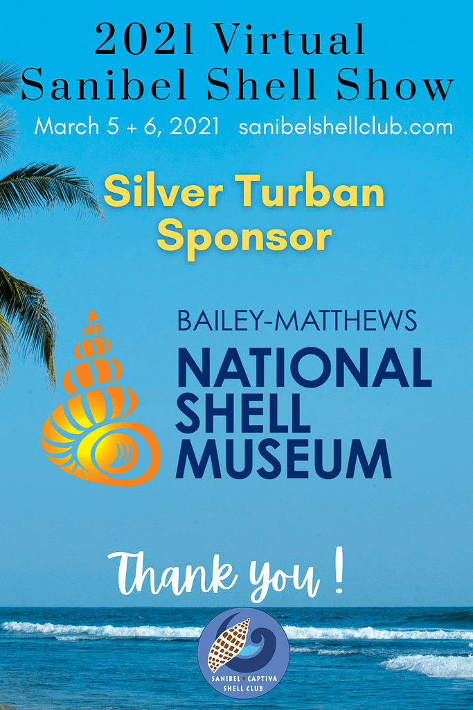 THANK YOU Virtual 2021 Sanibel Shell Show Sponsors - Sanibel-Captiva ...